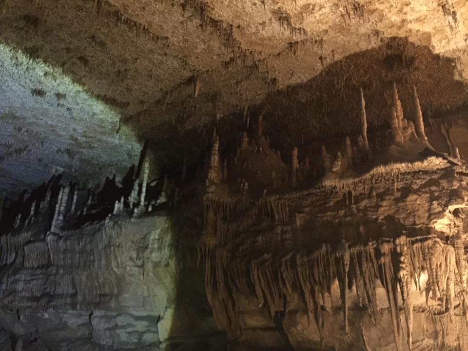 Elizabeth Finney | Making a life. Making a rich environment for my ...